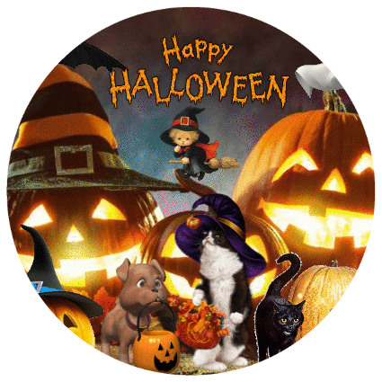 Halloween Tortenaufleger – Tortendekofee